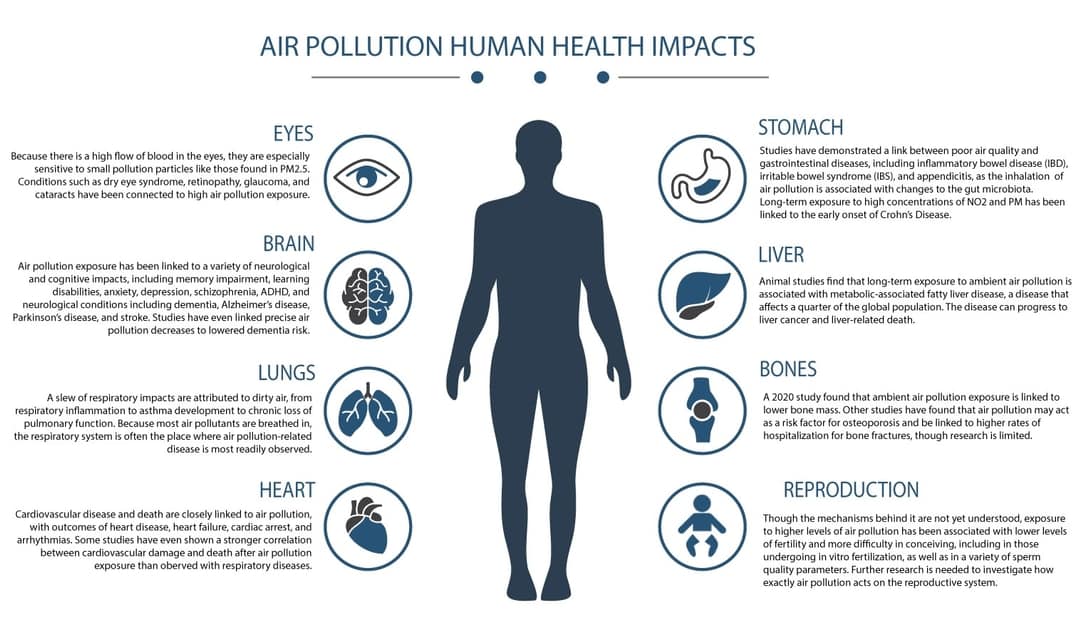 How does Air Pollution affect Human Health? | Clarity